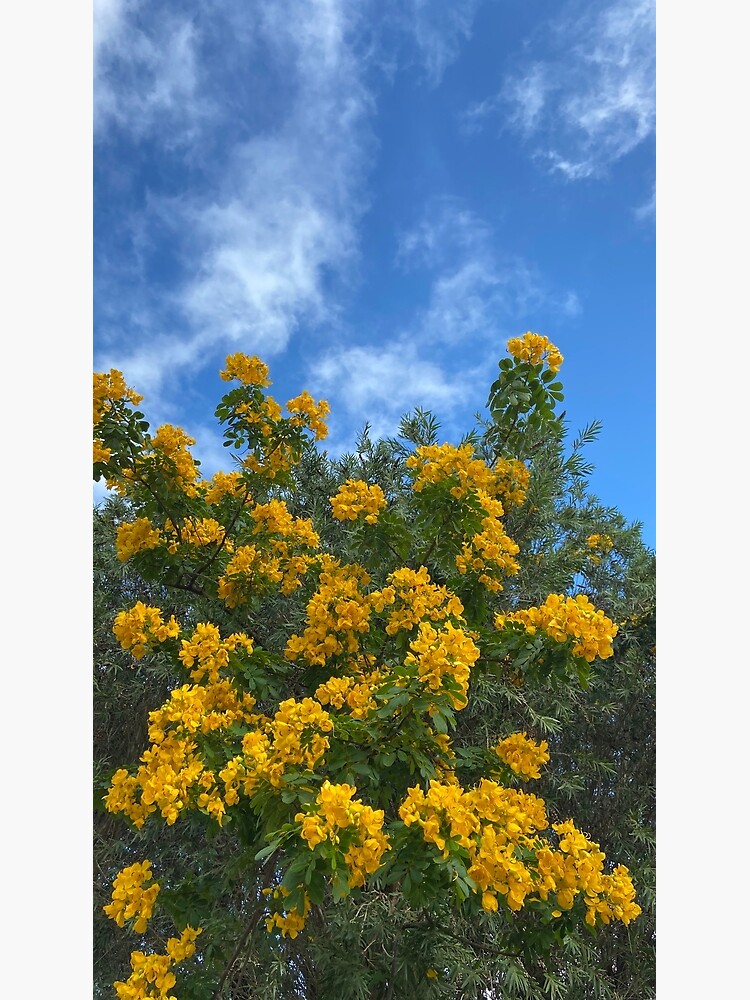 "Yellow Joy" Poster by dwallis-160 | Redbubble