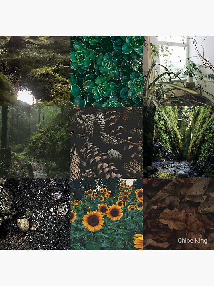 "Earth Mood Board 3" Sticker by Mrs-Chloe-Dixon | Redbubble