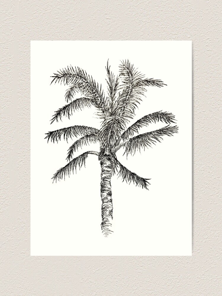 "Palm Tree Ink Drawing" Art Print for Sale by roses-blacklace | Redbubble