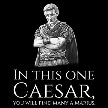 "Sulla Quote On Gaius Julius Caesar And Marius Ancient Roman History ...