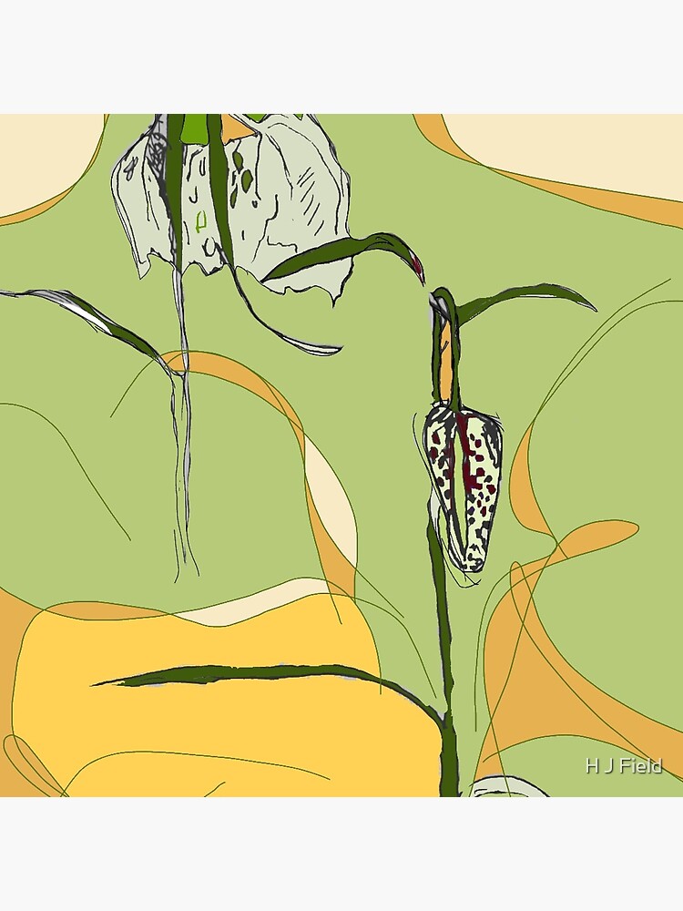 "Snake heads " Sticker for Sale by kyliepop89 | Redbubble