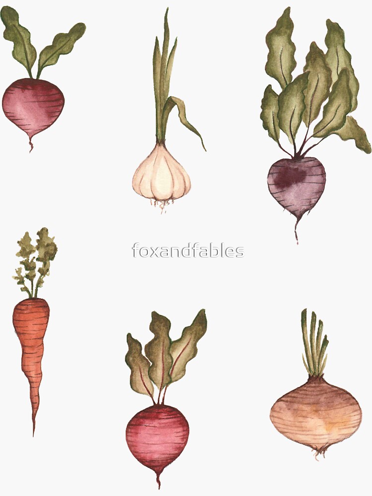"Root Veggies Sticker Pack" Sticker for Sale by foxandfables | Redbubble