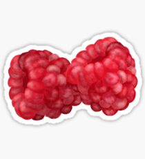 Raspberry Stickers | Redbubble