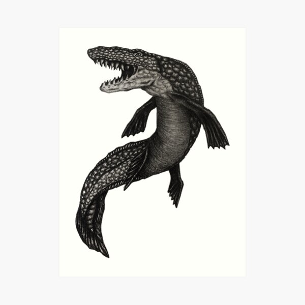 "Graphite Mosasaurus" Art Print for Sale by roses-blacklace | Redbubble