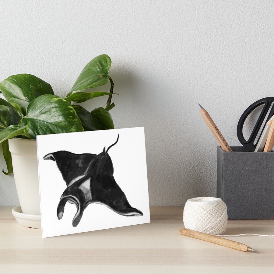 "Manta Ray Drawing" Art Board Print for Sale by sedrann15 | Redbubble