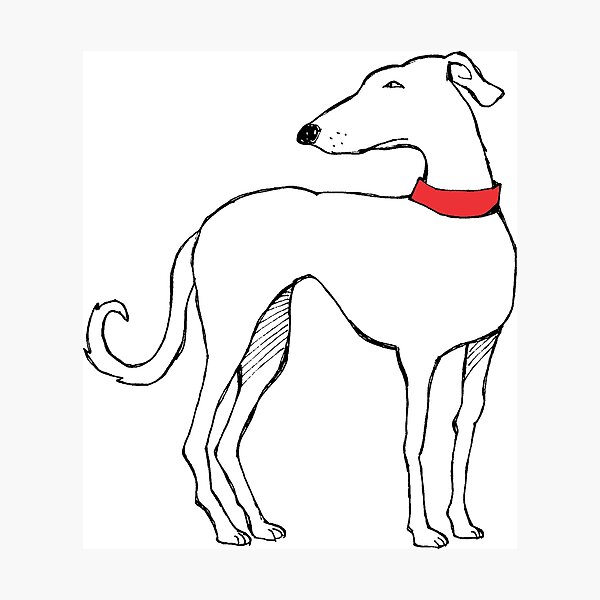 "Kenzie" Photographic Print by mmawson | Redbubble