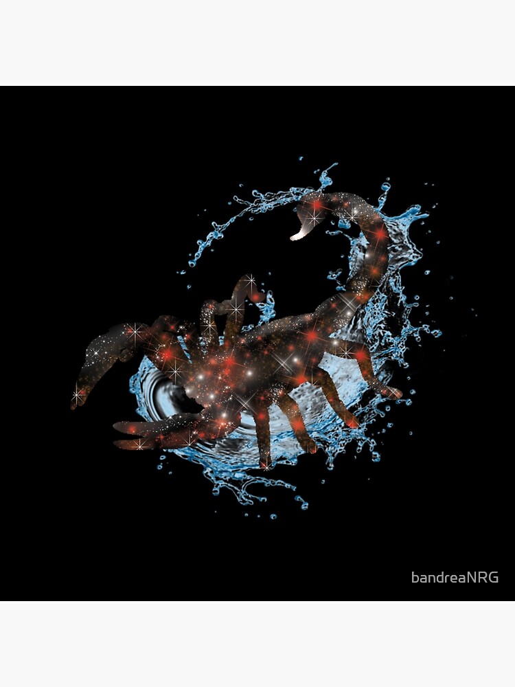 "Scorpio the Water Sign " Poster for Sale by bandreaNRG | Redbubble