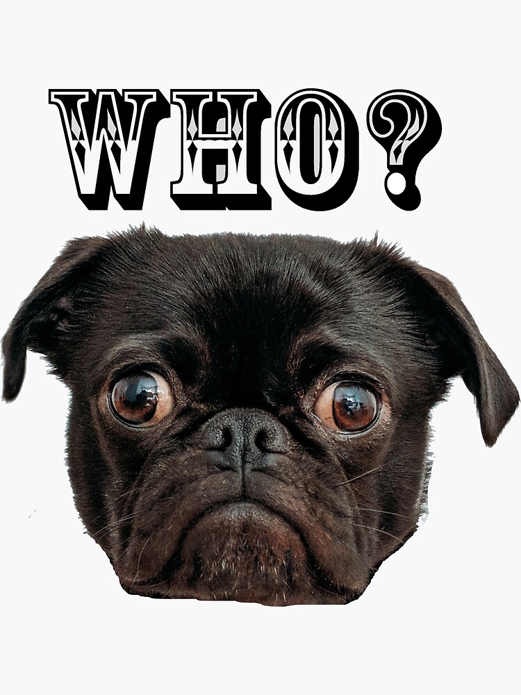"Confused Dog" Sticker by abbassyedhurr | Redbubble