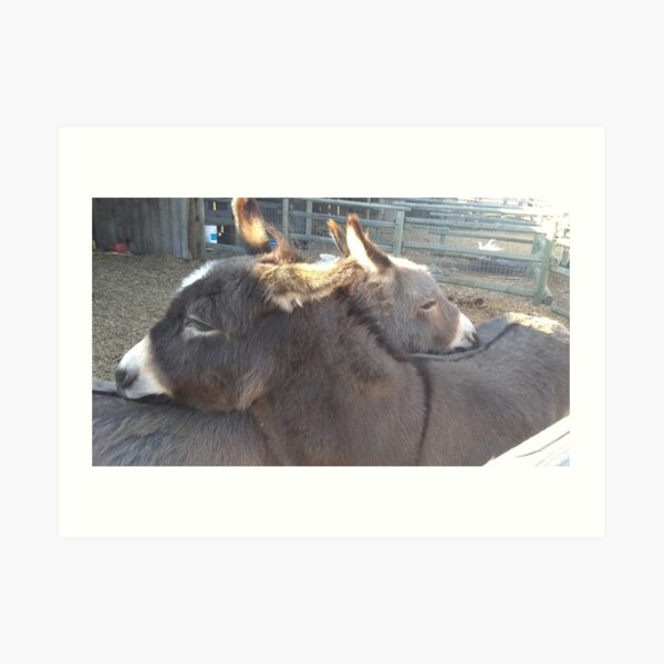 "Donkeys hugging cute donkey" Art Print for Sale by JPNW | Redbubble
