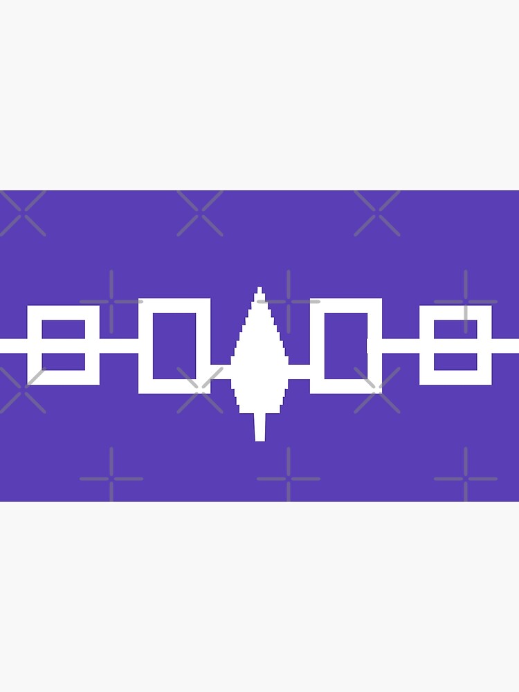 "Iroquois Confederacy Flag Canadian First Nations Indigenous white and ...