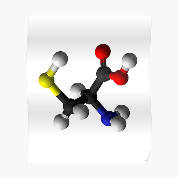 "Cysteine 3-D balls Chemical Formula" Poster by MagicBoutique | Redbubble