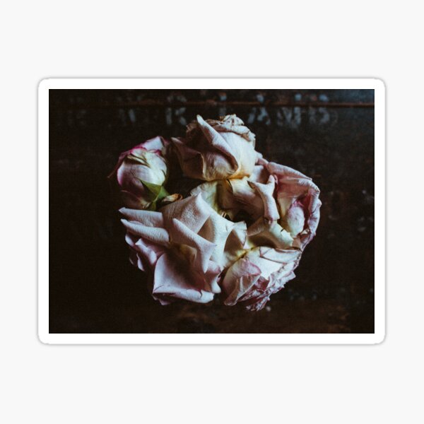 "The Process" Sticker for Sale by flowestbrook | Redbubble