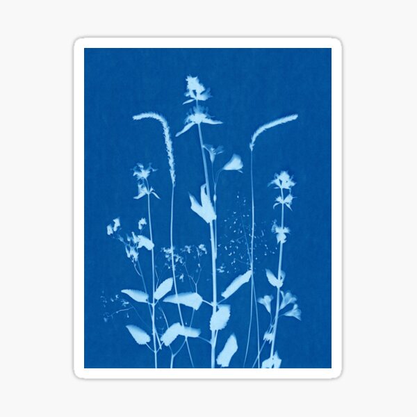 "Isolation Sun Print #1" Sticker for Sale by asprigg | Redbubble