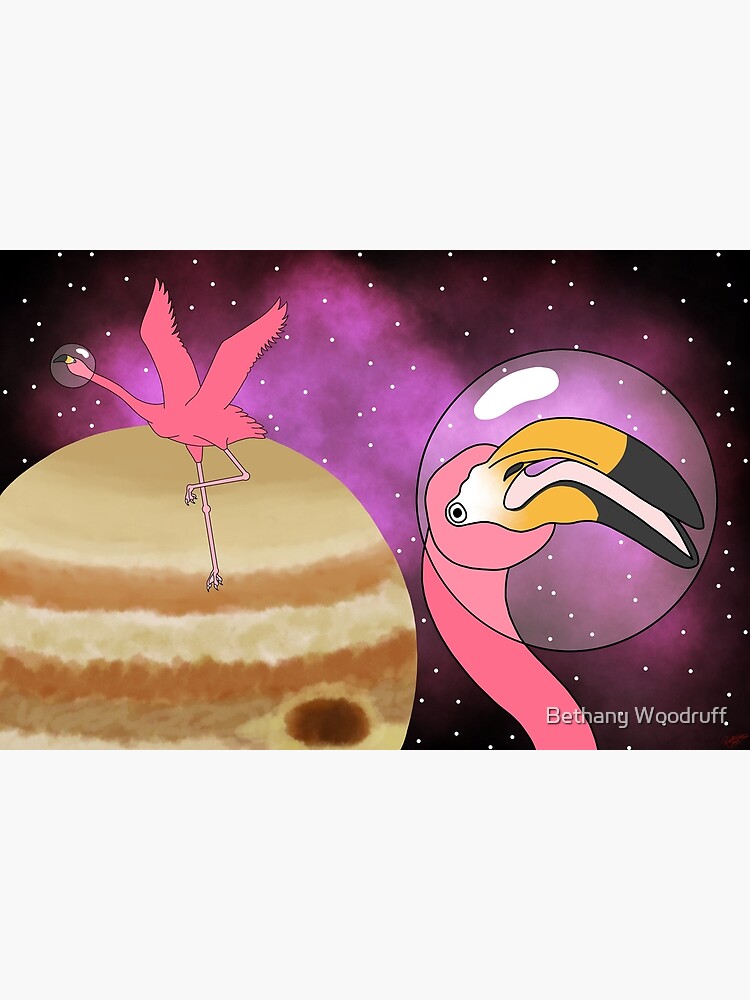 "SpAcE FlAmInGoS" Poster for Sale by BWoodruffArt | Redbubble