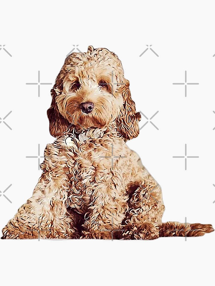 "Cavoodle Labradoodle Cockapoo Mini Poodle x Cute Puppy Dog" Sticker ...