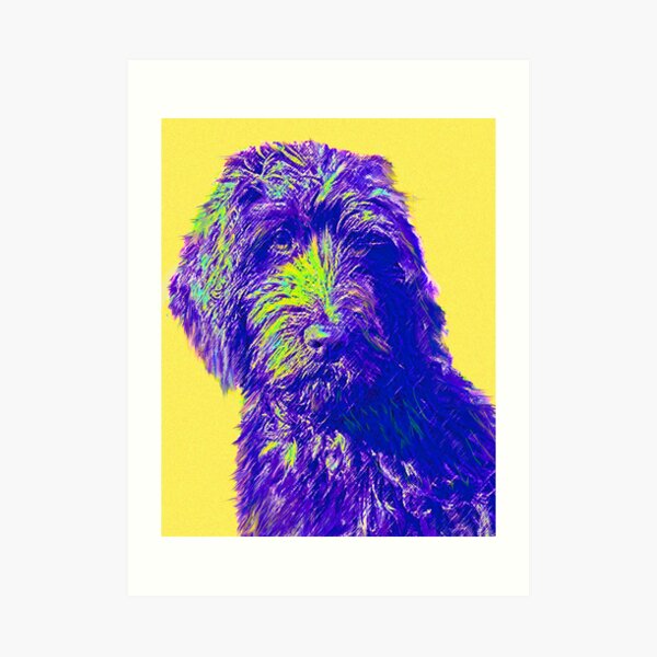 Labradoodle Art Prints | Redbubble