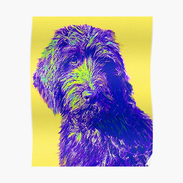 "labradoodle" Poster by jashumbert | Redbubble
