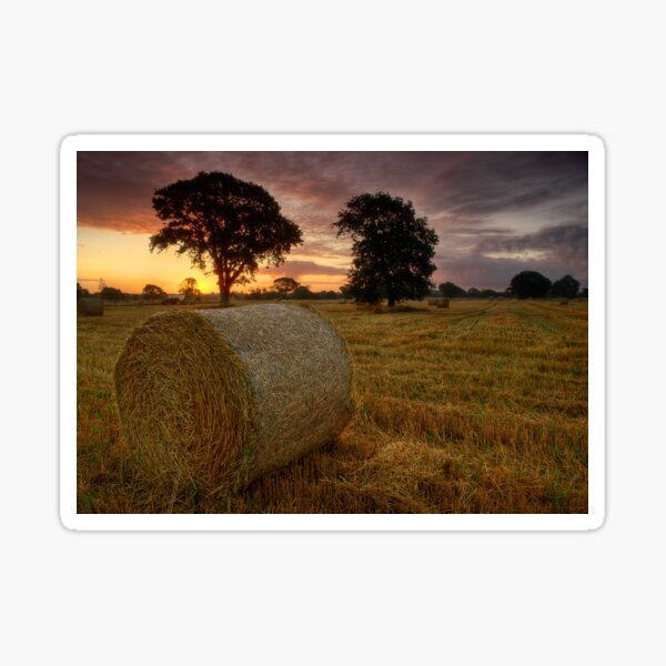 "Making Hay" Sticker by dagabhriel | Redbubble