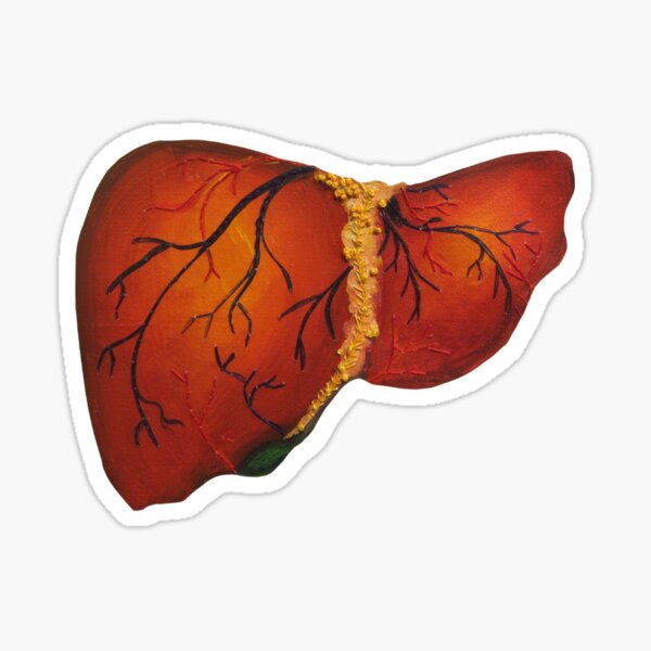 "Liver" Sticker for Sale by Mysticmagix | Redbubble