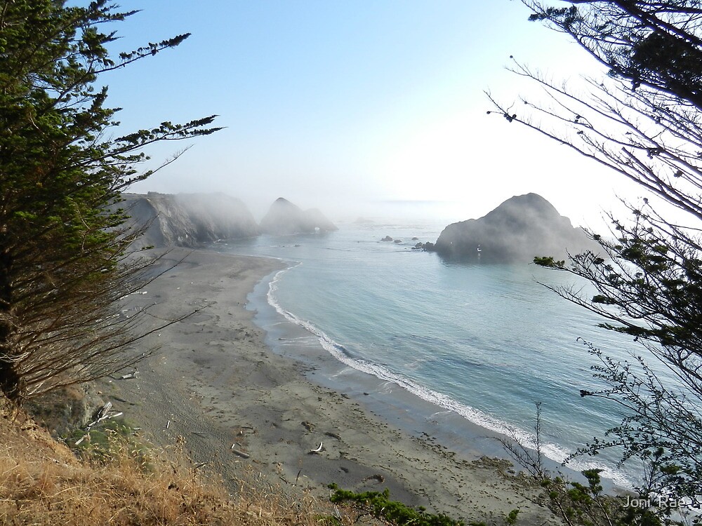 "Elk Beach South, California" by Joni Rae | Redbubble