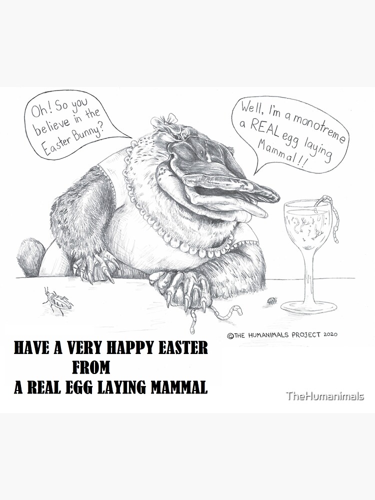 "Happy Easter Platypus" Sticker by TheHumanimals | Redbubble
