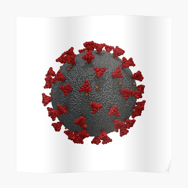 "Coronavirus SARS-CoV-2. " Poster for Sale by EEgnat | Redbubble