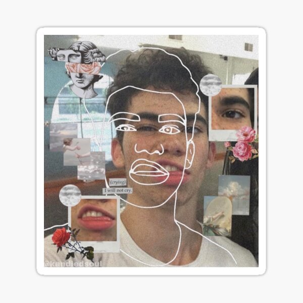 "Cameron boyce fanart " Sticker for Sale by Kroyalz14 | Redbubble