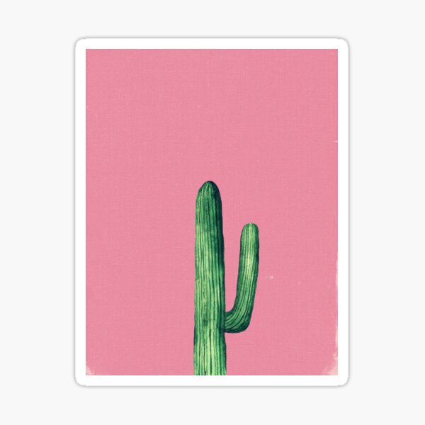 "Plants on pink. Green cactus art. Modern botanical illustration. Cacti ...