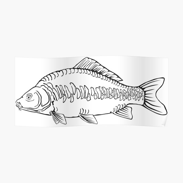 "a drawn carp" Poster for Sale by RavoNeo | Redbubble