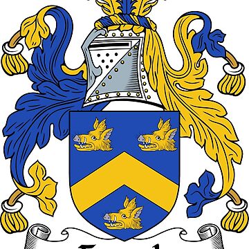 "French Coat of Arms / French Family Crest" Pullover Hoodie for Sale by ...