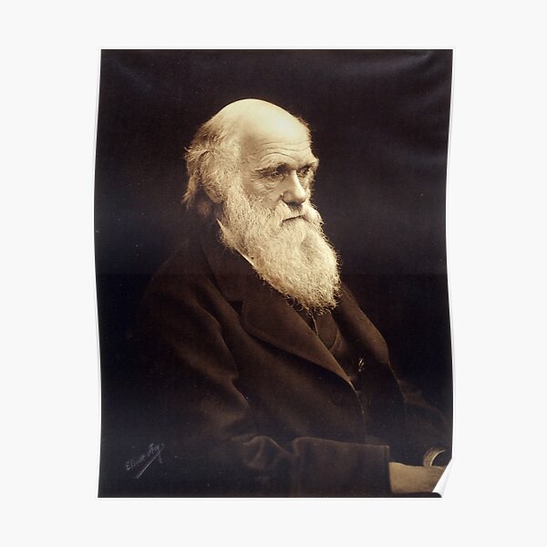 "Charles Darwin Vintage Portrait " Poster by trajeado14 | Redbubble