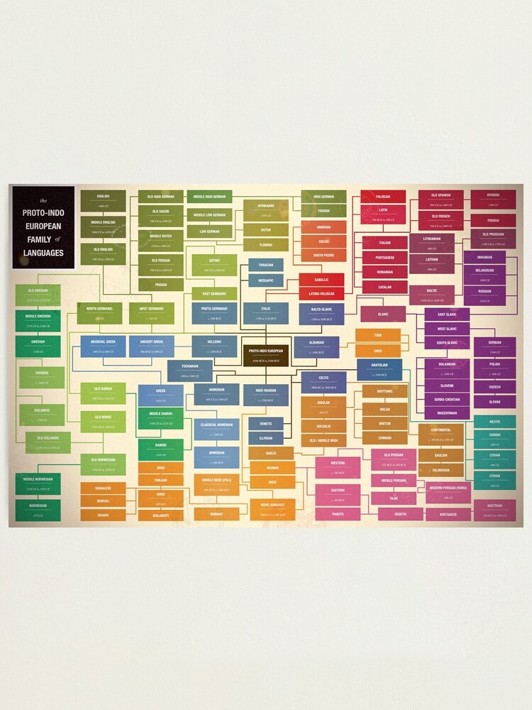 "Language family tree" Photographic Print for Sale by iyaaad | Redbubble