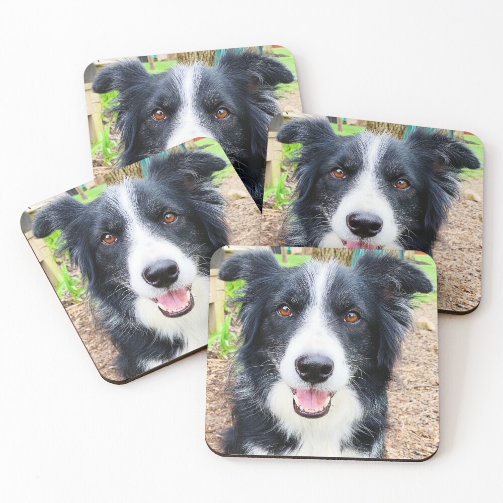 "Dog" Coasters (Set of 4) for Sale by thompsoh | Redbubble