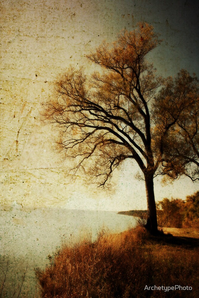 "Lonely Tree" by ArchetypePhoto | Redbubble