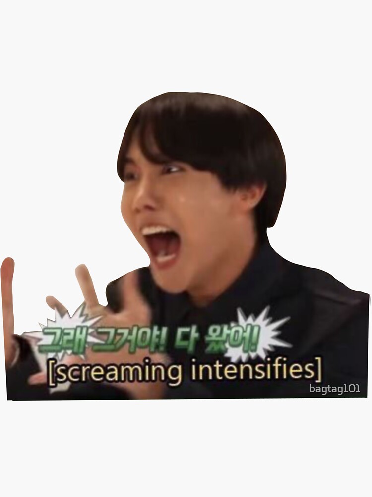"frustrated hobi meme" Sticker for Sale by bagtag101 | Redbubble