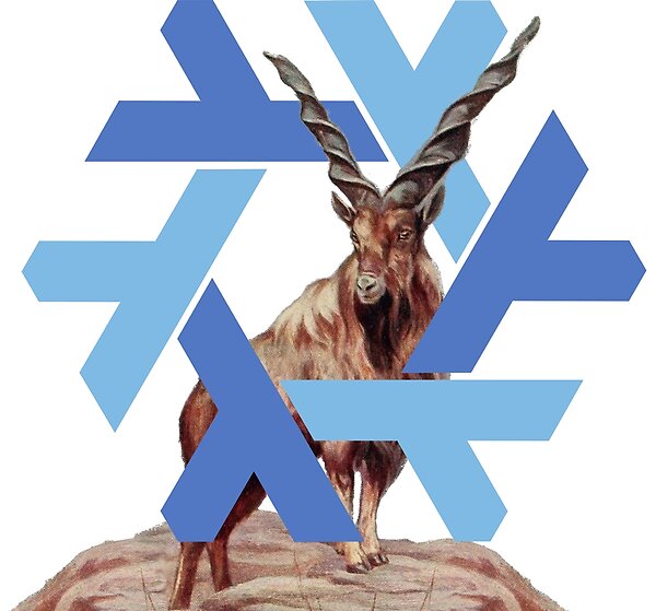 NixOS Merchandise report - Announcements - NixOS Discourse