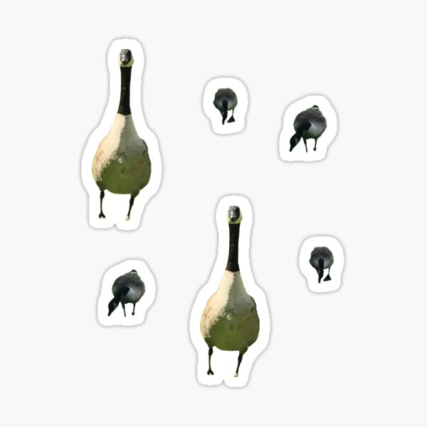 "Geese pack" Sticker for Sale by saddymaddy | Redbubble