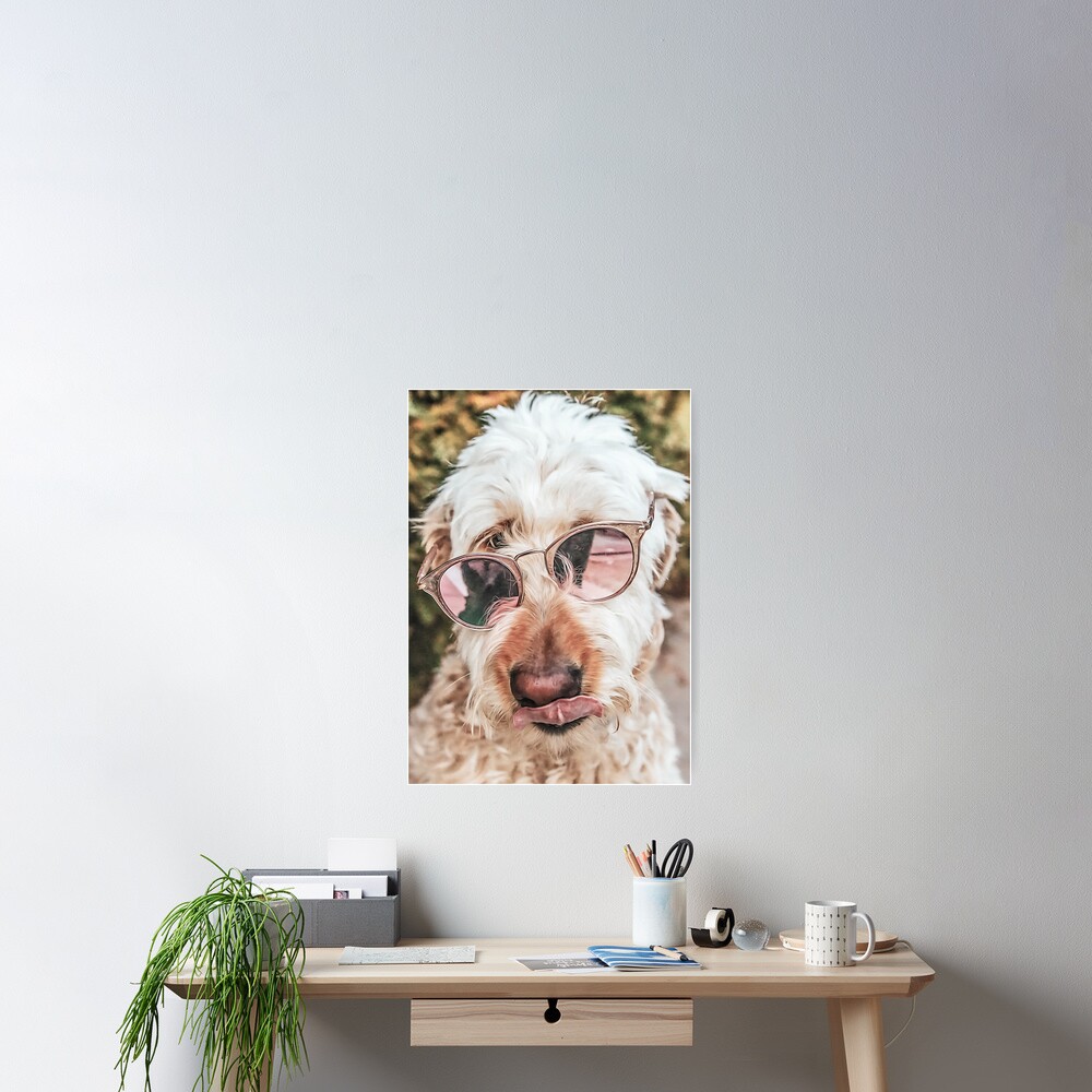 "Poodle With Glasses Oil Painting - Its A Superdog!" Poster for Sale by ...