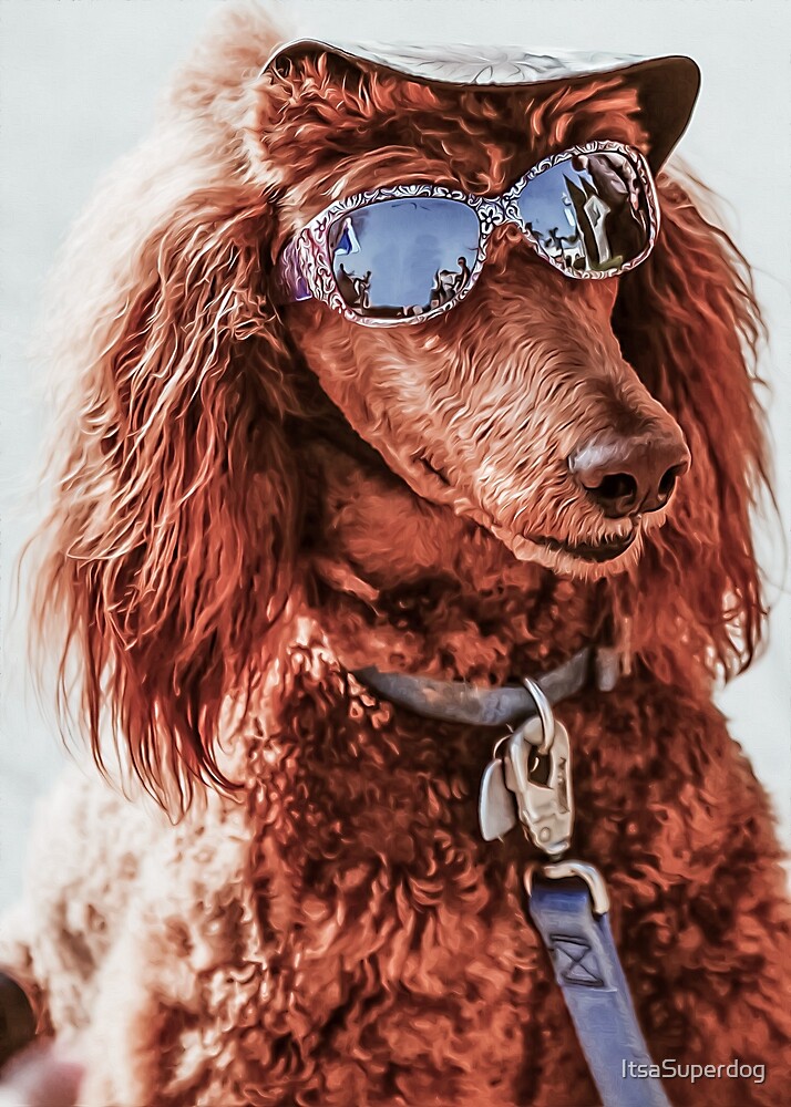 "Brown Poodle With Glasses Oil Painting - Its A Superdog!" by ...