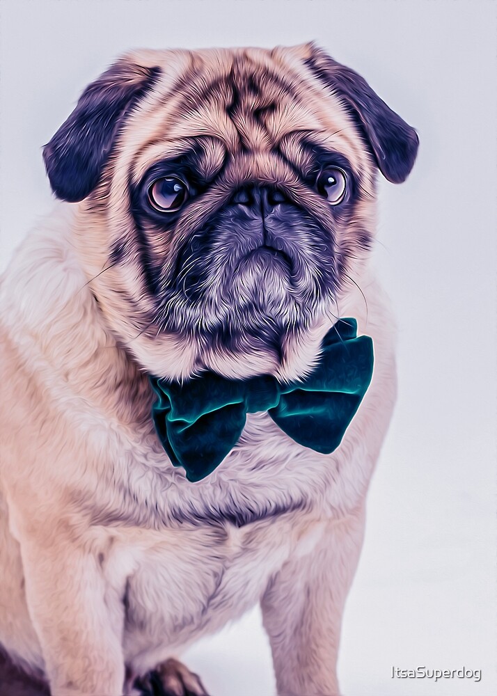 "Pug With Bowtie Oil Painting - Its A Superdog!" by ItsaSuperdog ...