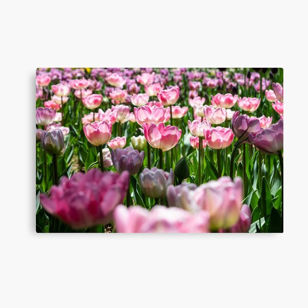 Hitachi Merch & Gifts for Sale | Redbubble