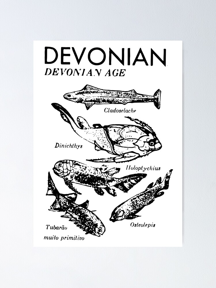 "Age devonian" Poster by Luck-1997 | Redbubble