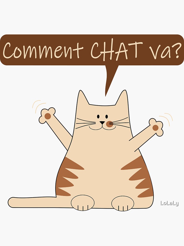 "The cat says: comment CHAT va?" Sticker for Sale by LoLaLy | Redbubble