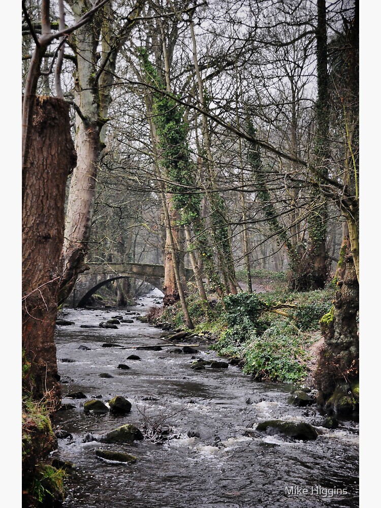 "Rivelin river" Poster by MHIGGINS | Redbubble