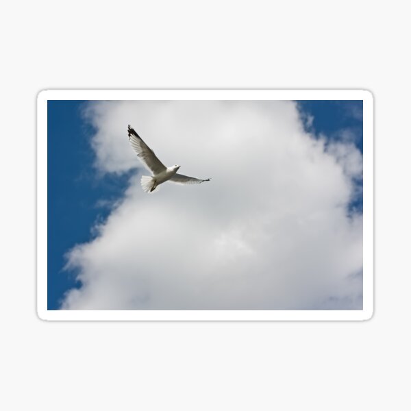 "Flight" Sticker by PrettySickArt | Redbubble