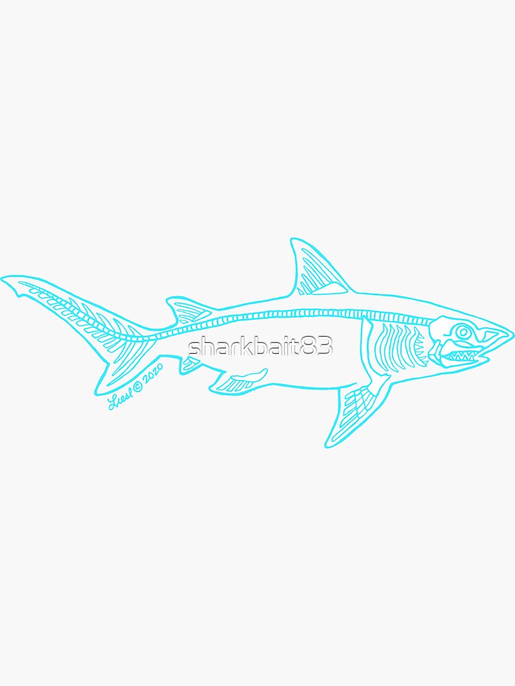 "Shark Skeleton" Sticker for Sale by sharkbait83 | Redbubble