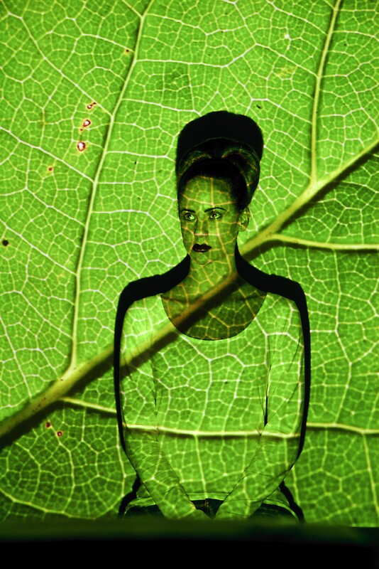 "Projection Project - Natural State" by Stacey Williams | Redbubble