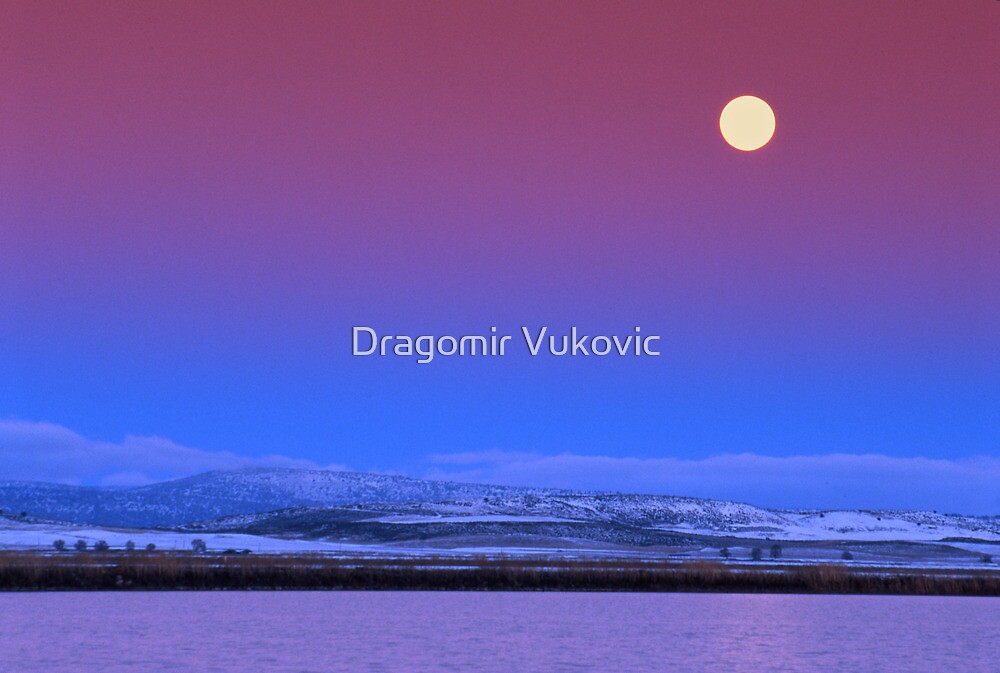 "Minus 20 Within Moon" by Dragomir Vukovic | Redbubble