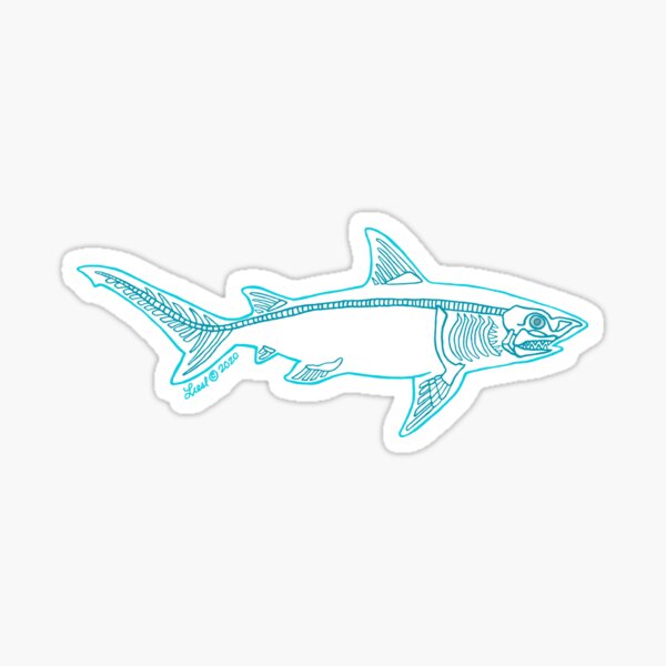 "Teal Shark Skeleton" Sticker for Sale by sharkbait83 | Redbubble