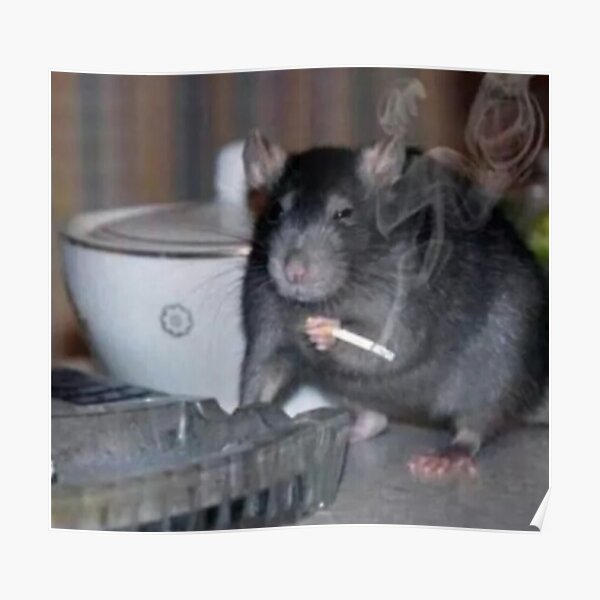 Póster «Ratatouille Rata Fumar» de Ezzyone | Redbubble